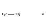 Methylammonium chloride CAS 593-51-1 | 806020